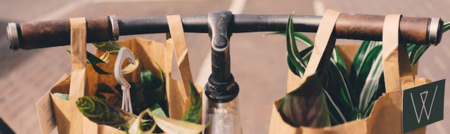 Sustainability - The Future of Retail - ASG